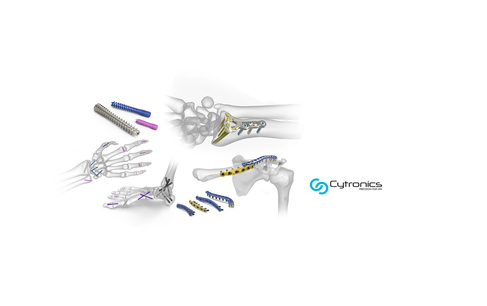 INVAMED Research & Development | RD Global